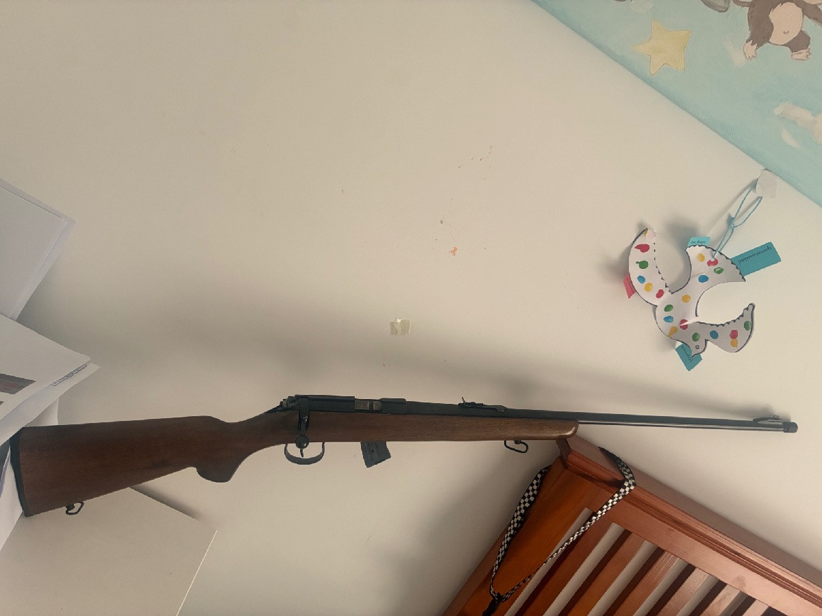 Carabina norinco jw 15 a 22lr 🥇 Conpactum